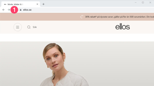 Undvik kortbedrägerier | Internetkunskap